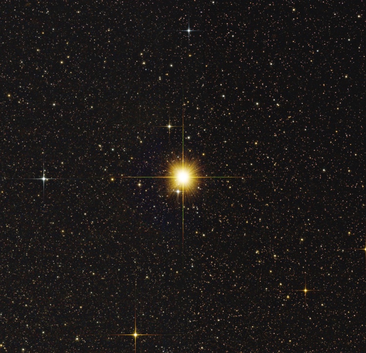 Arcturus | Michelle Joy Gallagher Soffe